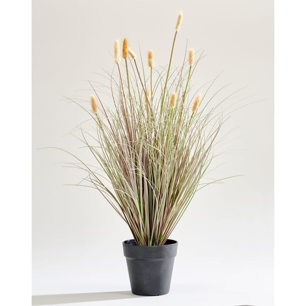 28" Artificial Setaria Foxtail Grass in Black Pot - Cream/Chocolate - 28 - Bed Bath & Beyond ...